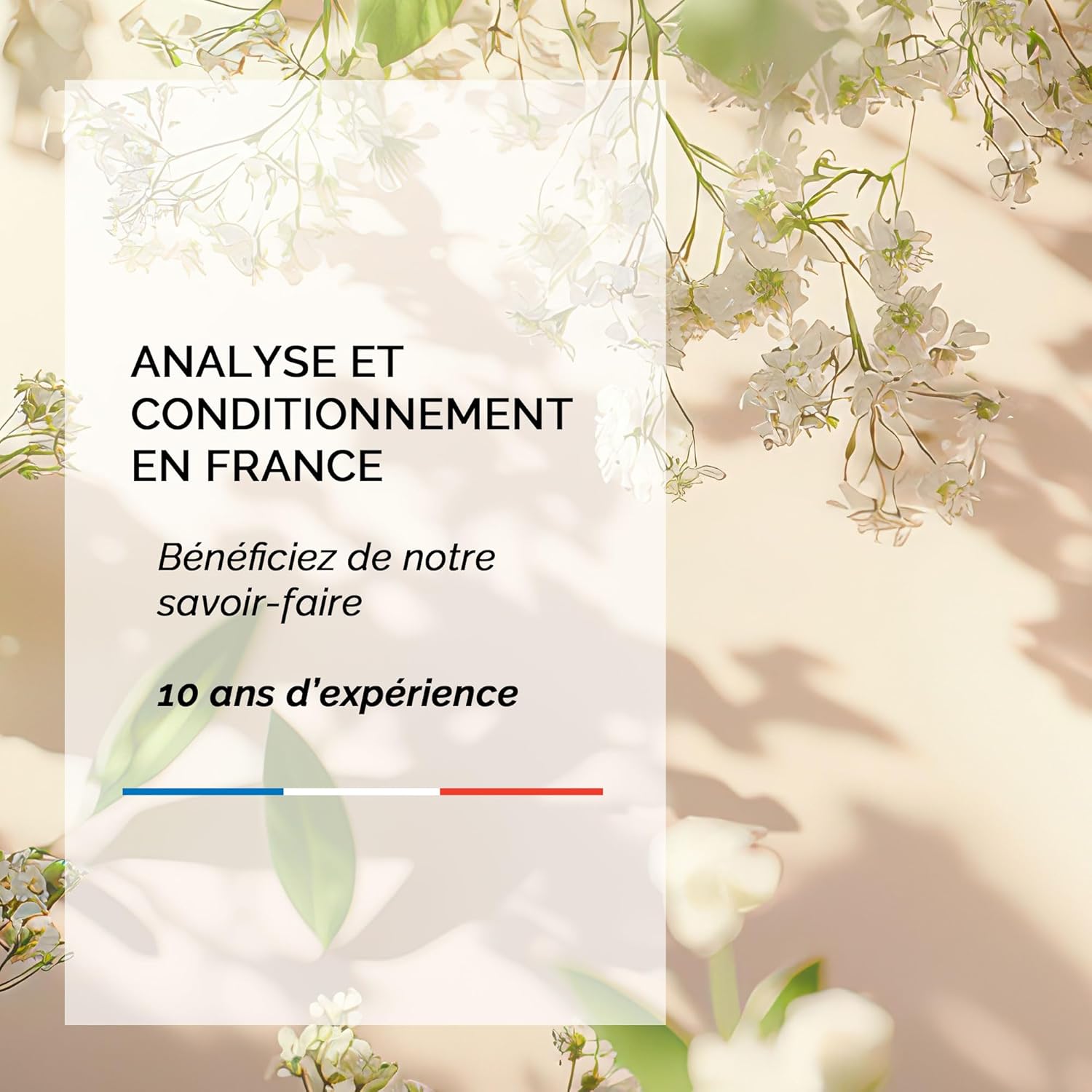 Herbes du Monde – Organic Dandelion Herbal Tea – Cut Leaf – Infusion Organic – Helps the proper ...