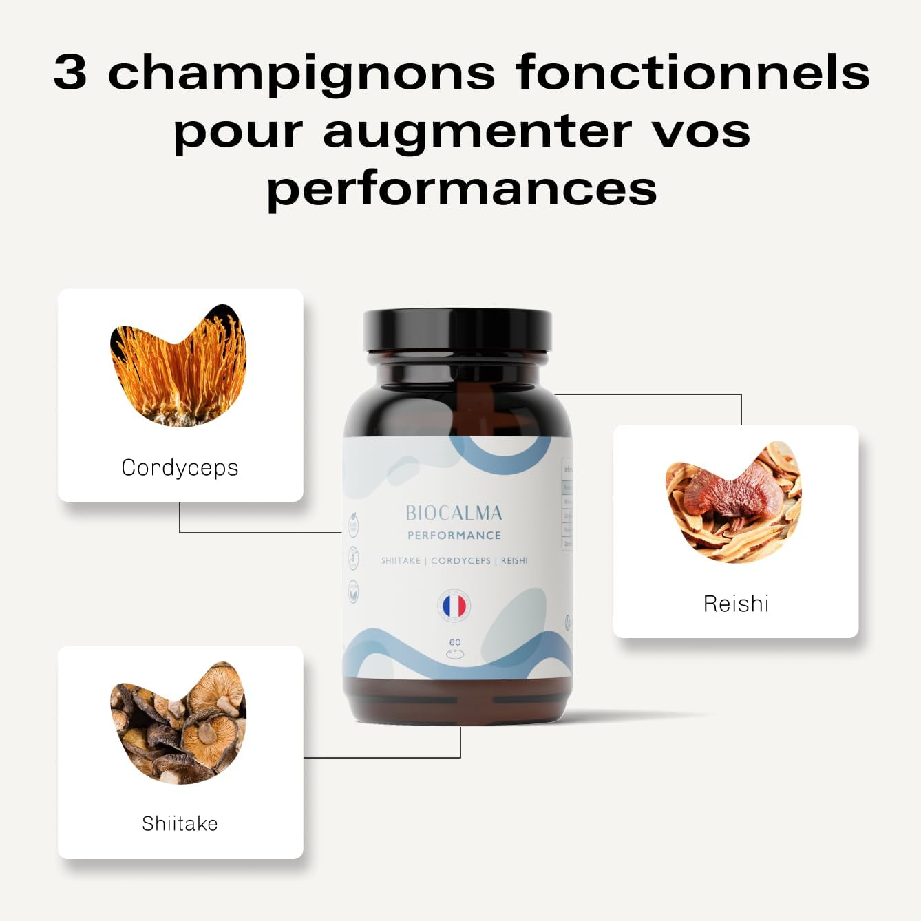 Performance Adaptogen Mushrooms – 60 Capsules – Energy, Mental Clarity & Emotional Balance ...